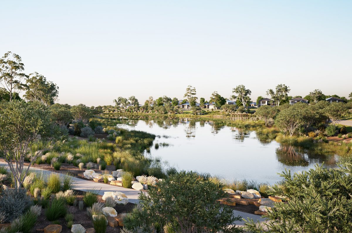 Landscape - 4D Studio